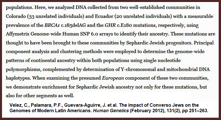 Chapter 8 — SO-CALLED BLACKS & LATINOS – Kaj Research